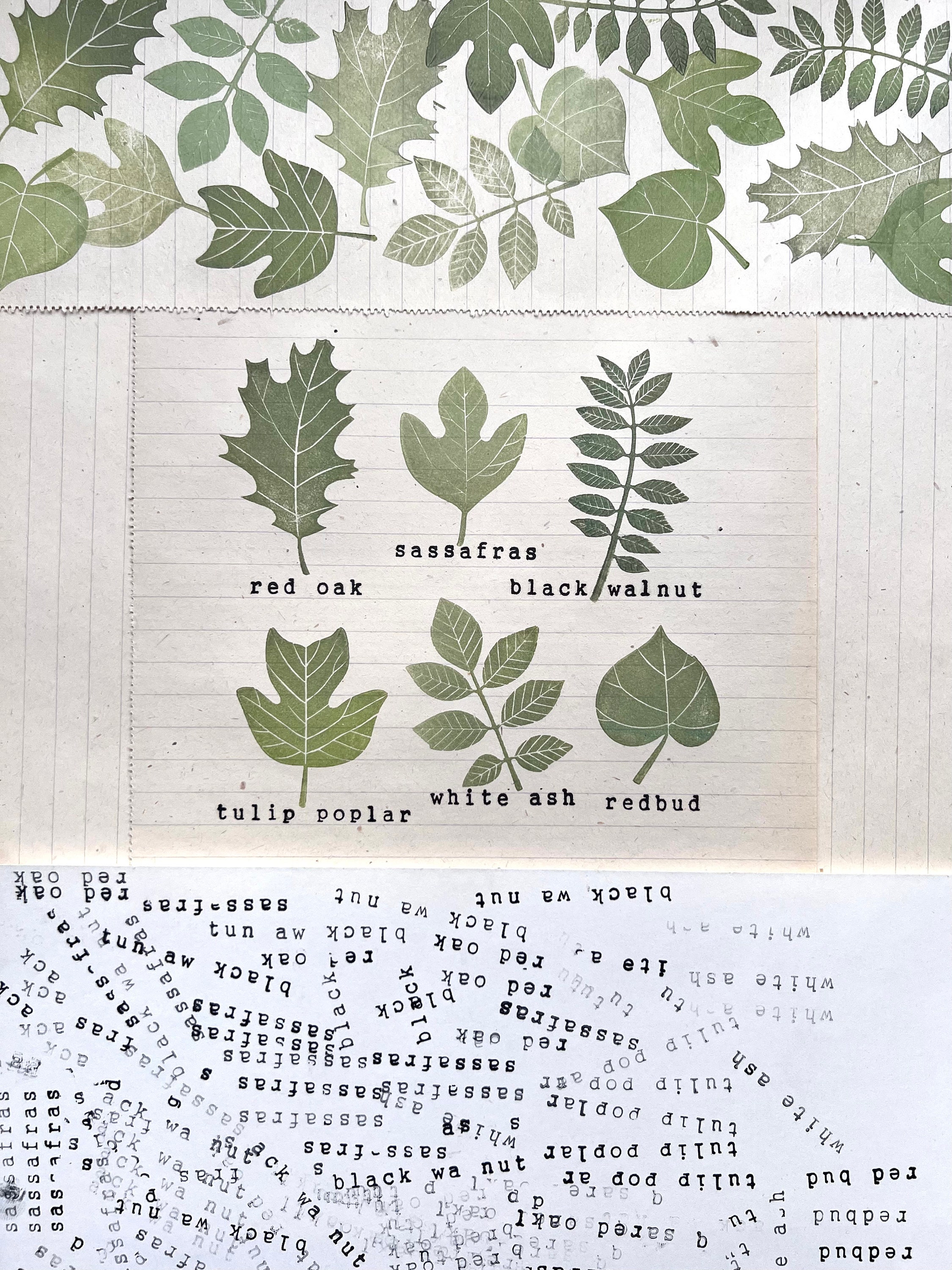 Common Trees Stamp Set, Hand Carved Botanical Stamp Set, Montessori ...