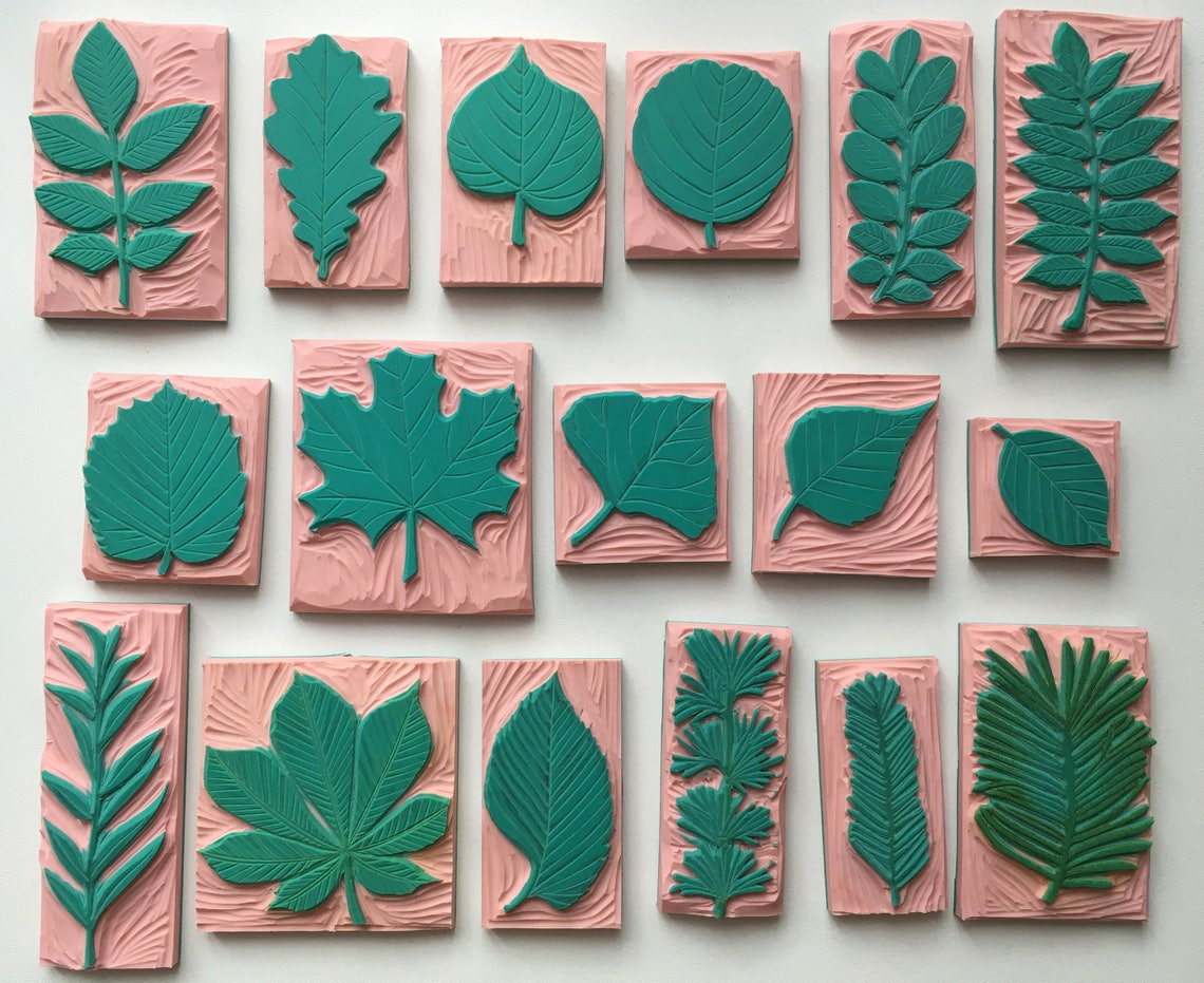 Common Tree Leaves Stamp Set of 17 Specimens Hand Carved Stamp - Etsy UK