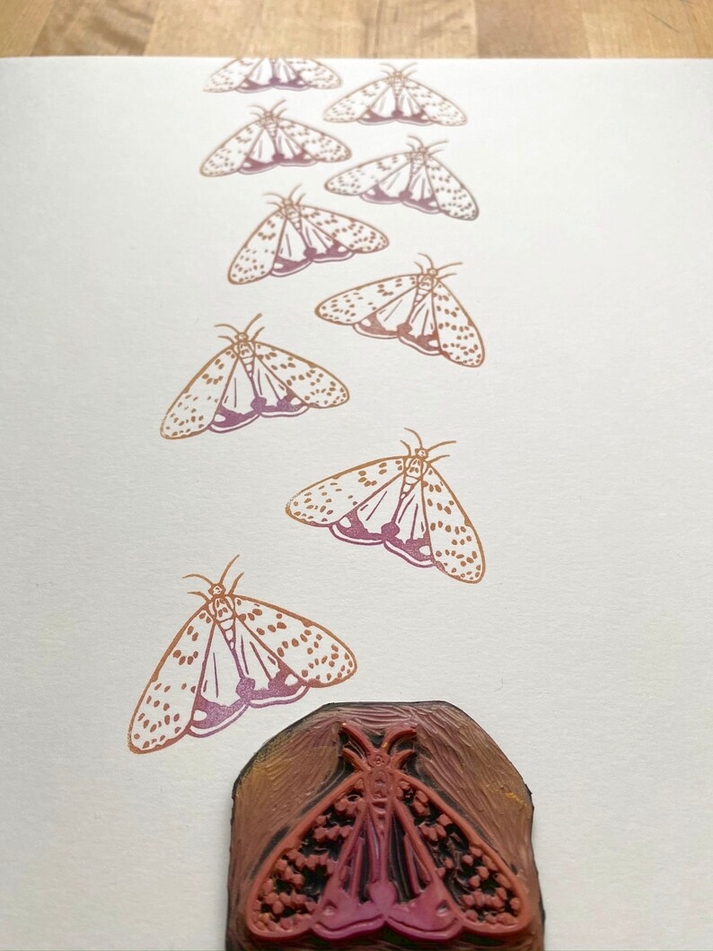 Bella Moth Utetheisa Ornatrix Rattlebox Moth Hand Carved - Etsy