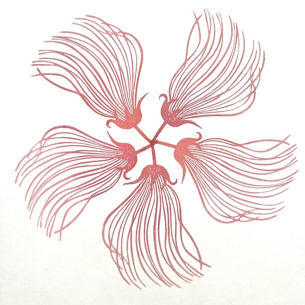 Prairie Smoke Flower - Etsy