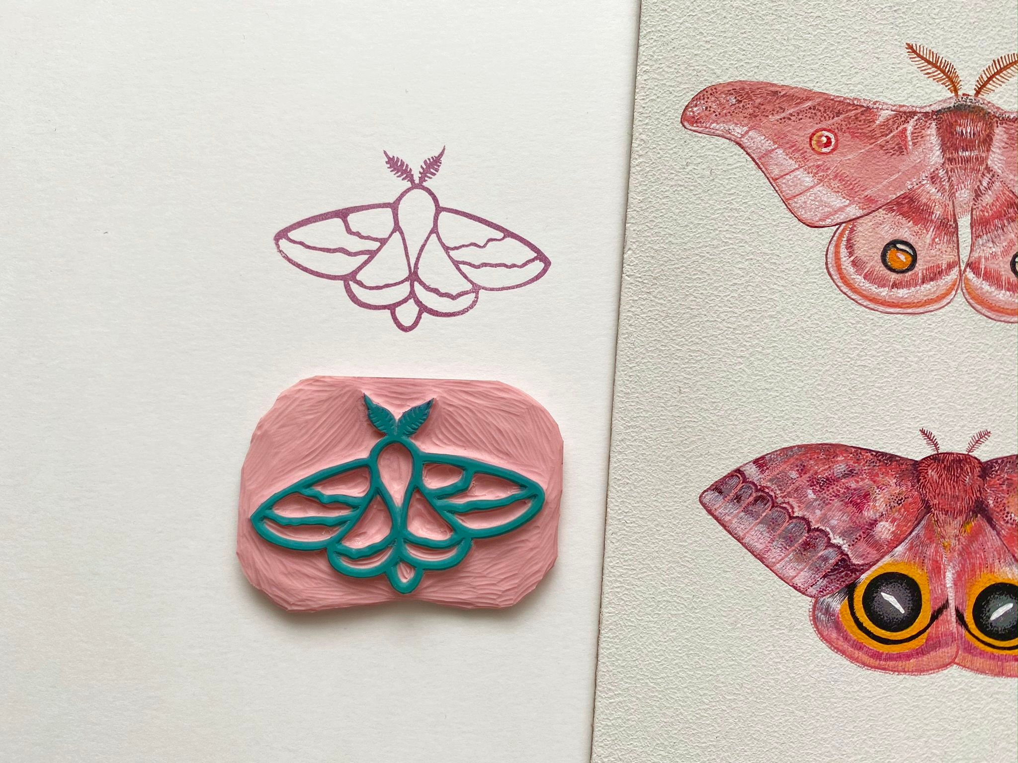 Rosy Maple Moth Hand Carved Stamp Moth Artwork Wild Stamps - Etsy