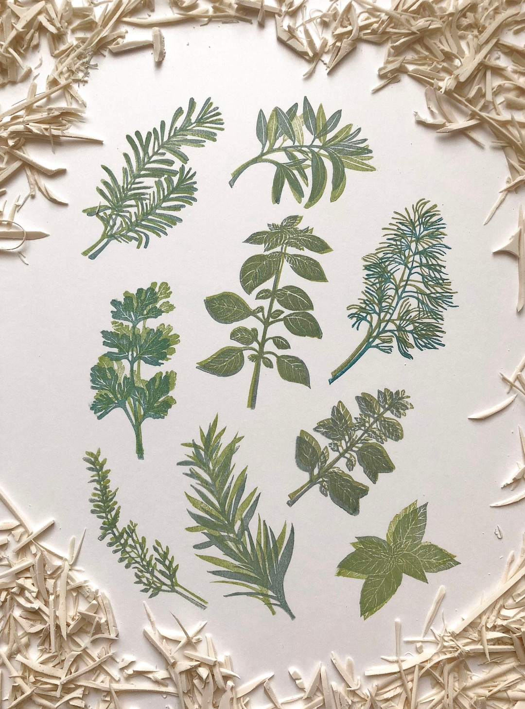 Herbs Hand Carved Rubber Stamp, Herbal Art, Herbarium, Herb Art Set ...