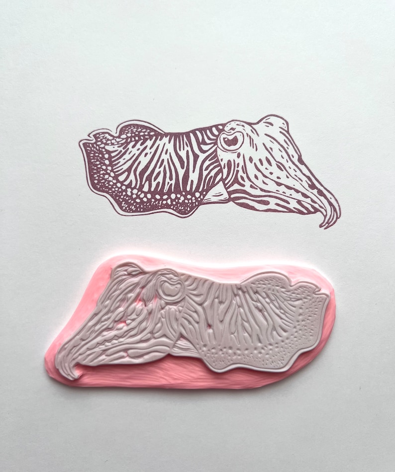 The Cuttlefish Rubber Stamp, Marine Molluscs, Cephalopod Art, Sea Life ...