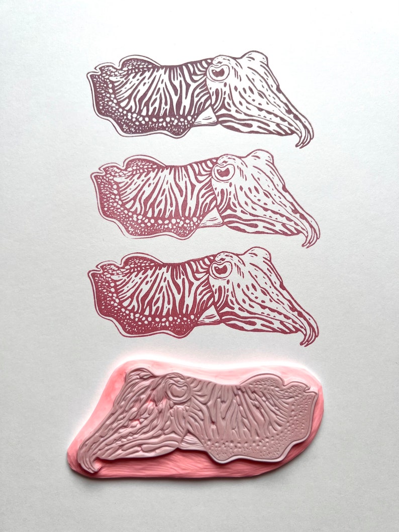 The Cuttlefish Rubber Stamp, Marine Molluscs, Cephalopod Art, Sea Life ...