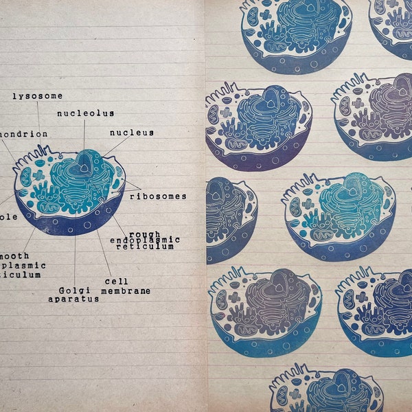 Human Cell Art - Etsy