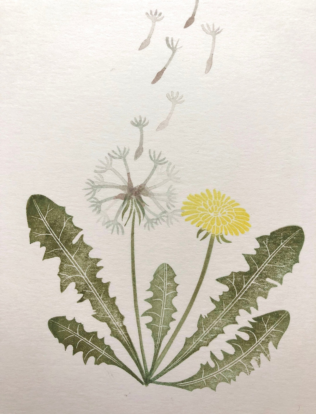 Dandelion Hand Carved Rubber Stamp, Wild Flower, Botanical, Educational ...