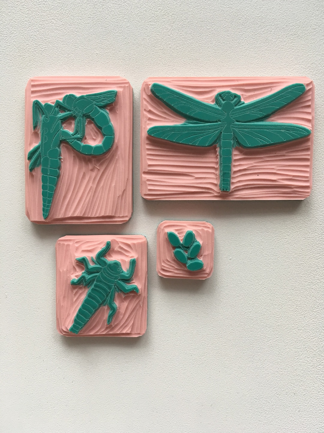 Life Cycle of a Dragonfly Stamp Set, Montessori Supplies, Biology ...