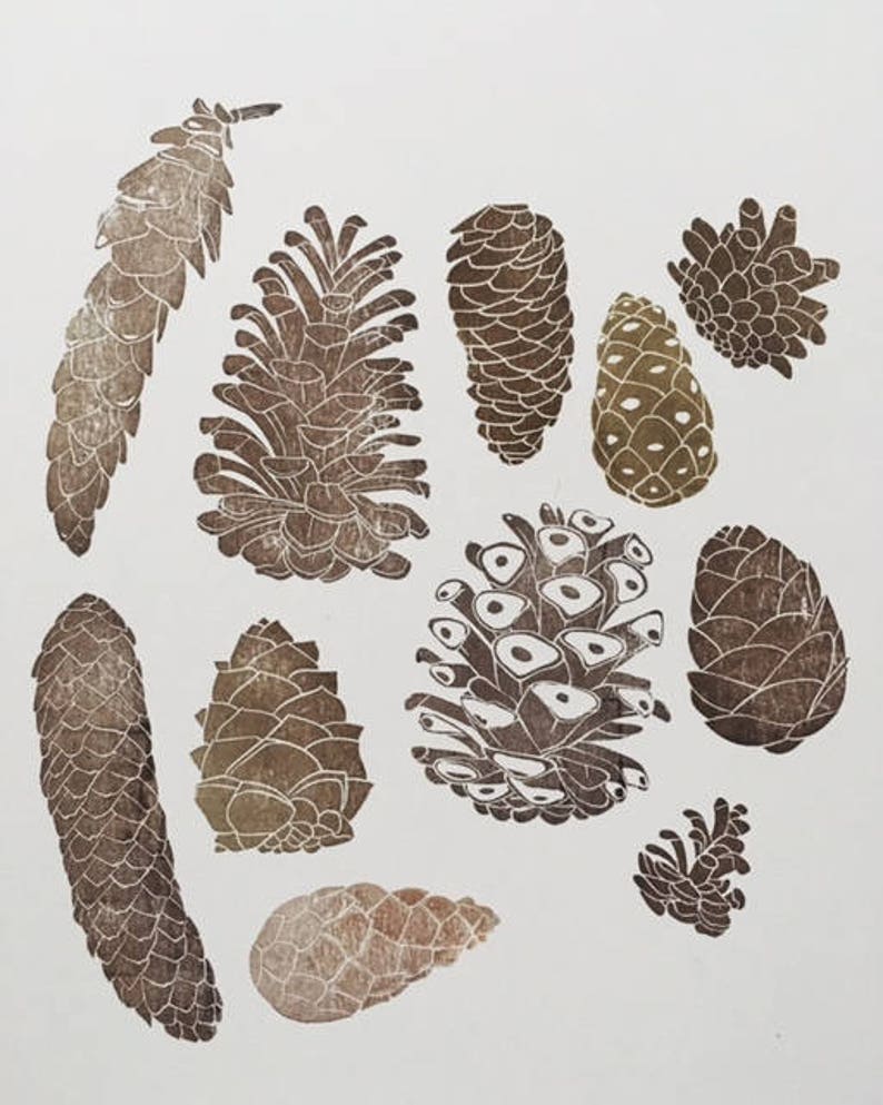 Pine Cones Hand Carved Stamps, Cones Identification, Nature Education ...