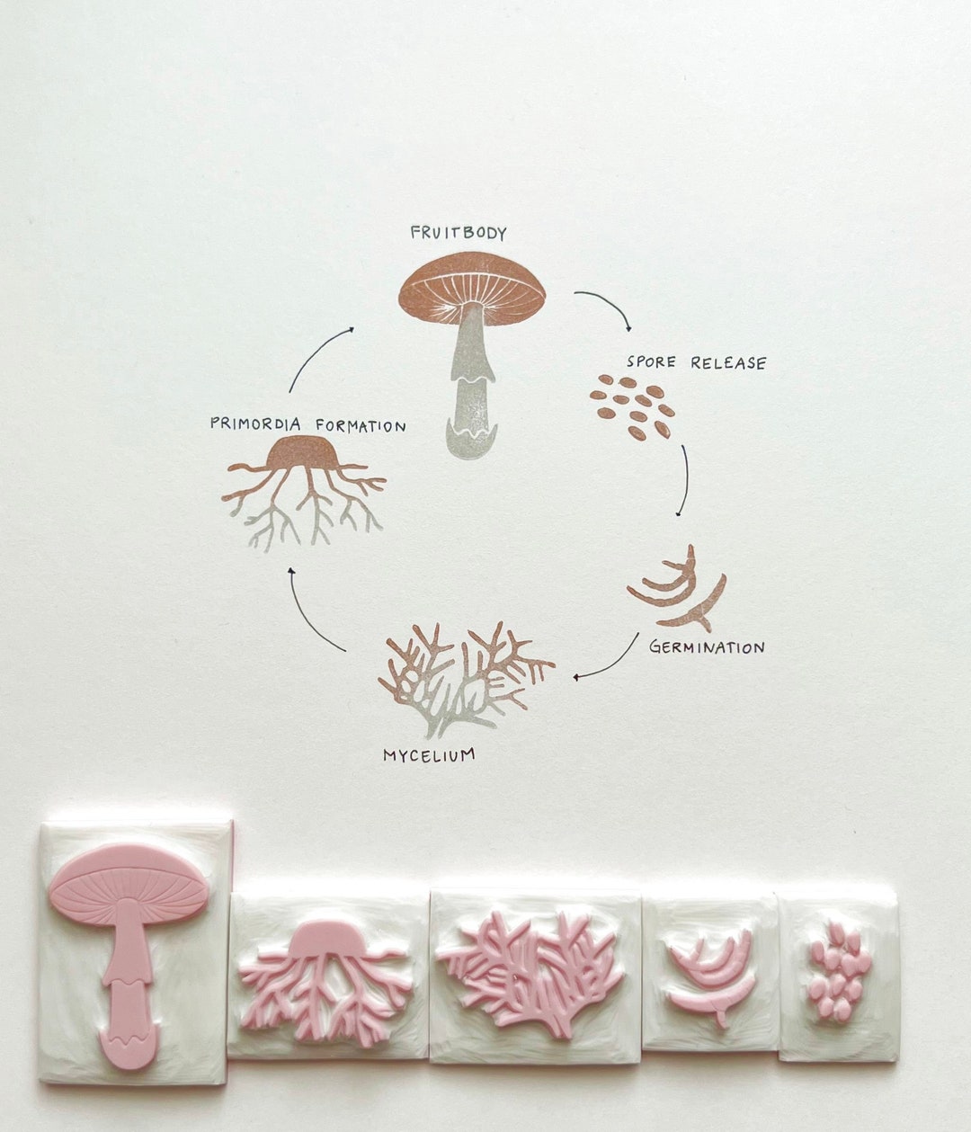The Mushroom Life Cycle Hand Carved Rubber Stamp, Botanical Life Cycle ...