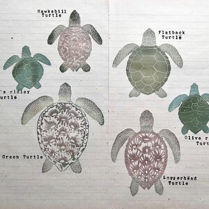 Sea Turtle Rubber Stamp, Biology Classroom Supply, Nautical Wall Decor ...