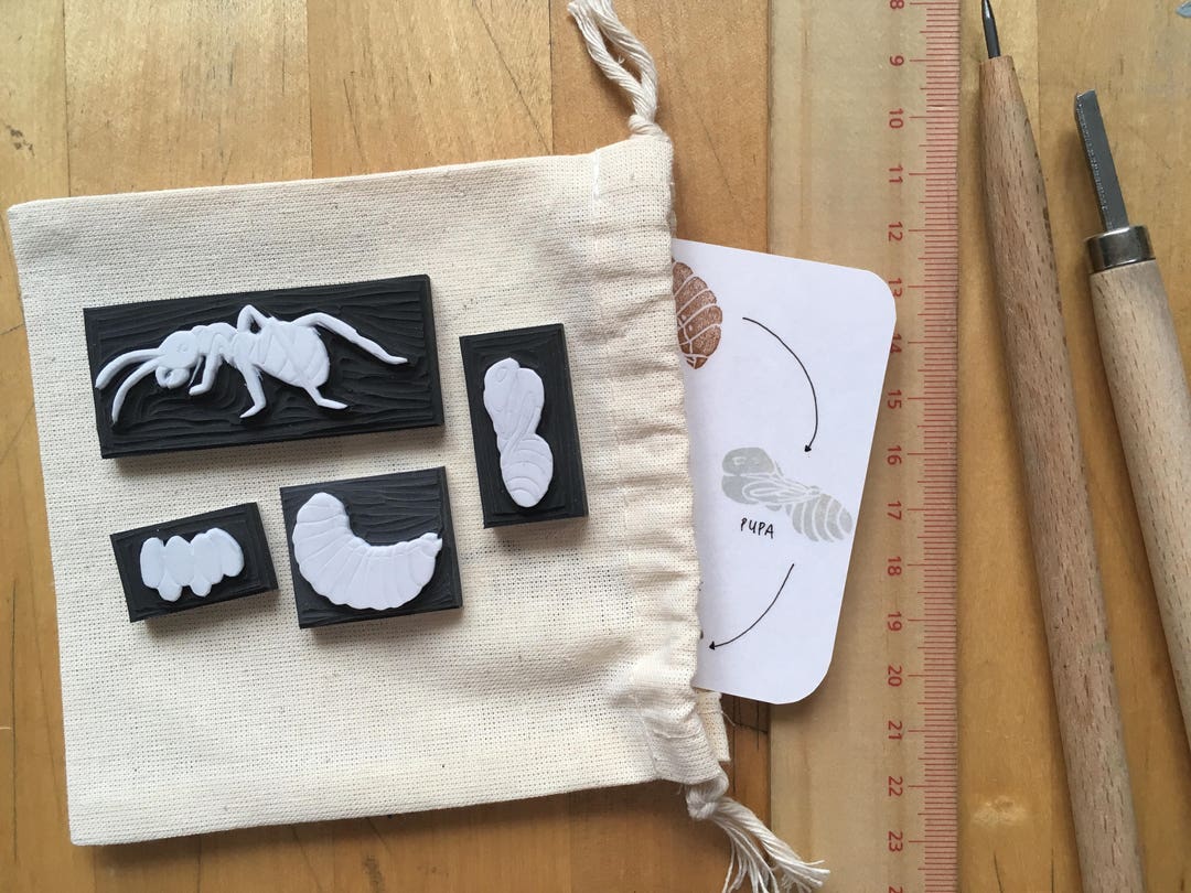 Ant Life Cycle Stamp Set Hand Carved, Montessori Inspired Art, Science ...