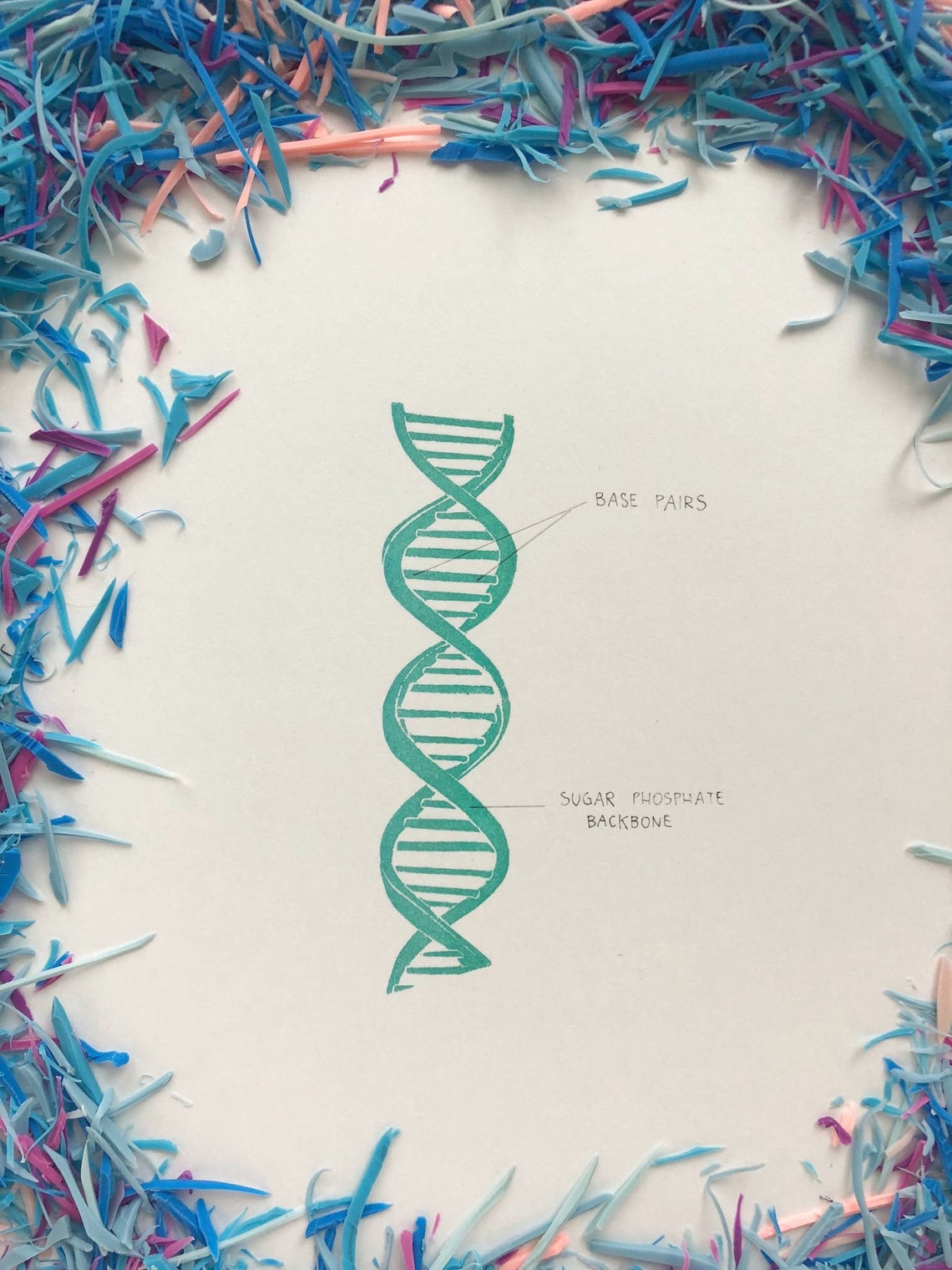 The DNA Structure, Educational Stamp, Montessori Inspired, Hand Carved ...