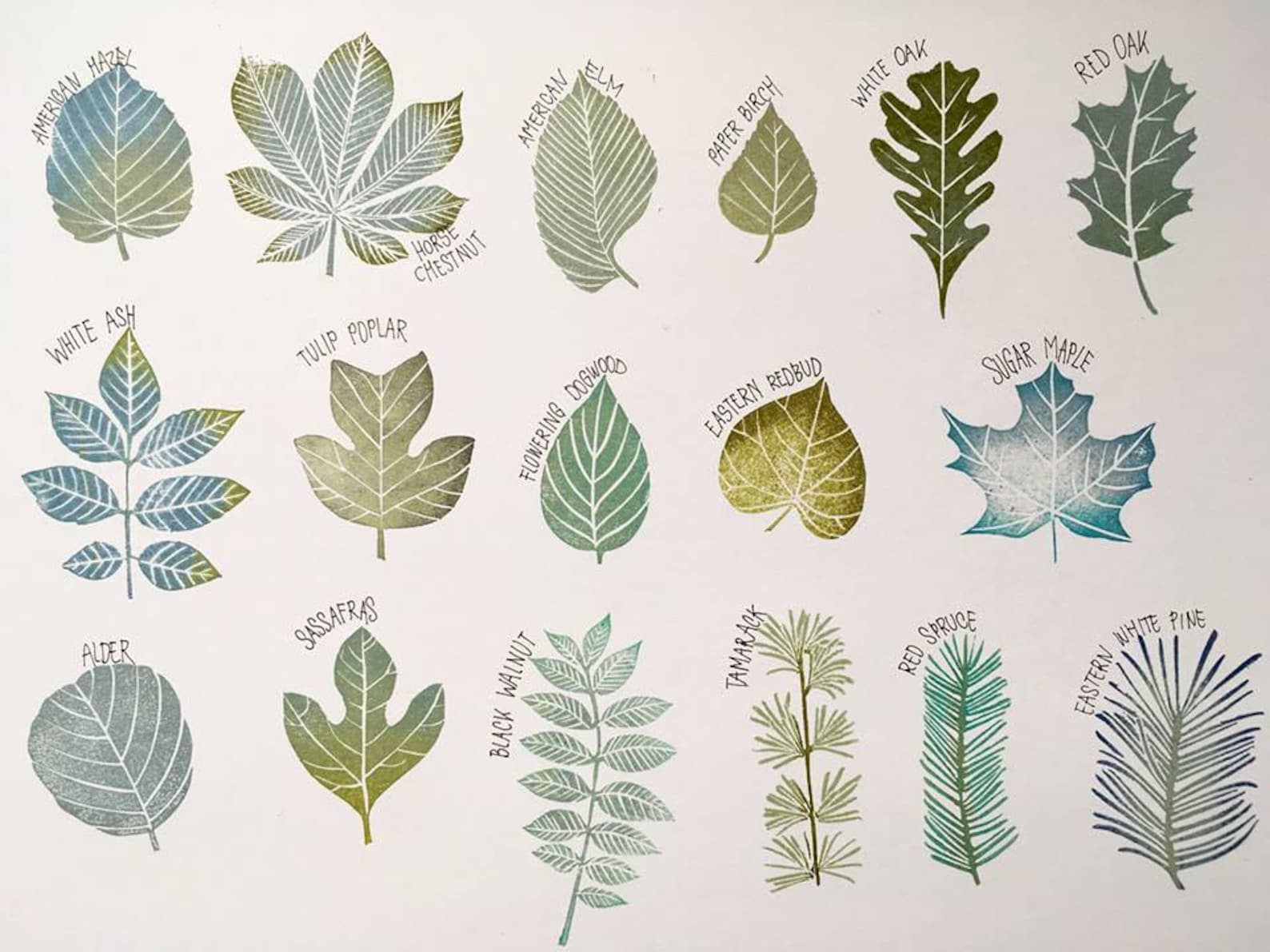 Common Tree Leaves Stamp Set of 17 Specimens Hand Carved Stamp ...