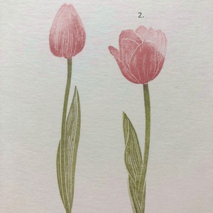Tulip Flower Hand Carved Stamp, Botanical Art Print, Rubber Handmade ...