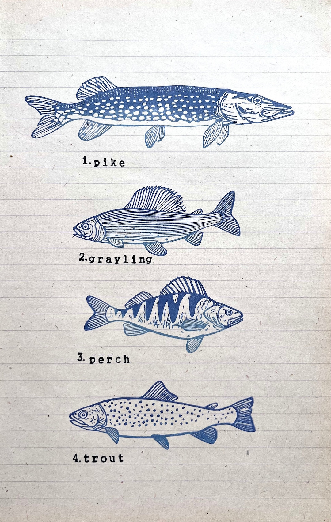Fish Rubber Stamps, Fish Art Print, Fishes Print, River Fish Art Stamps ...