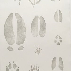Common Forest Animals Tracks Identification Hand Carved Stamps ...