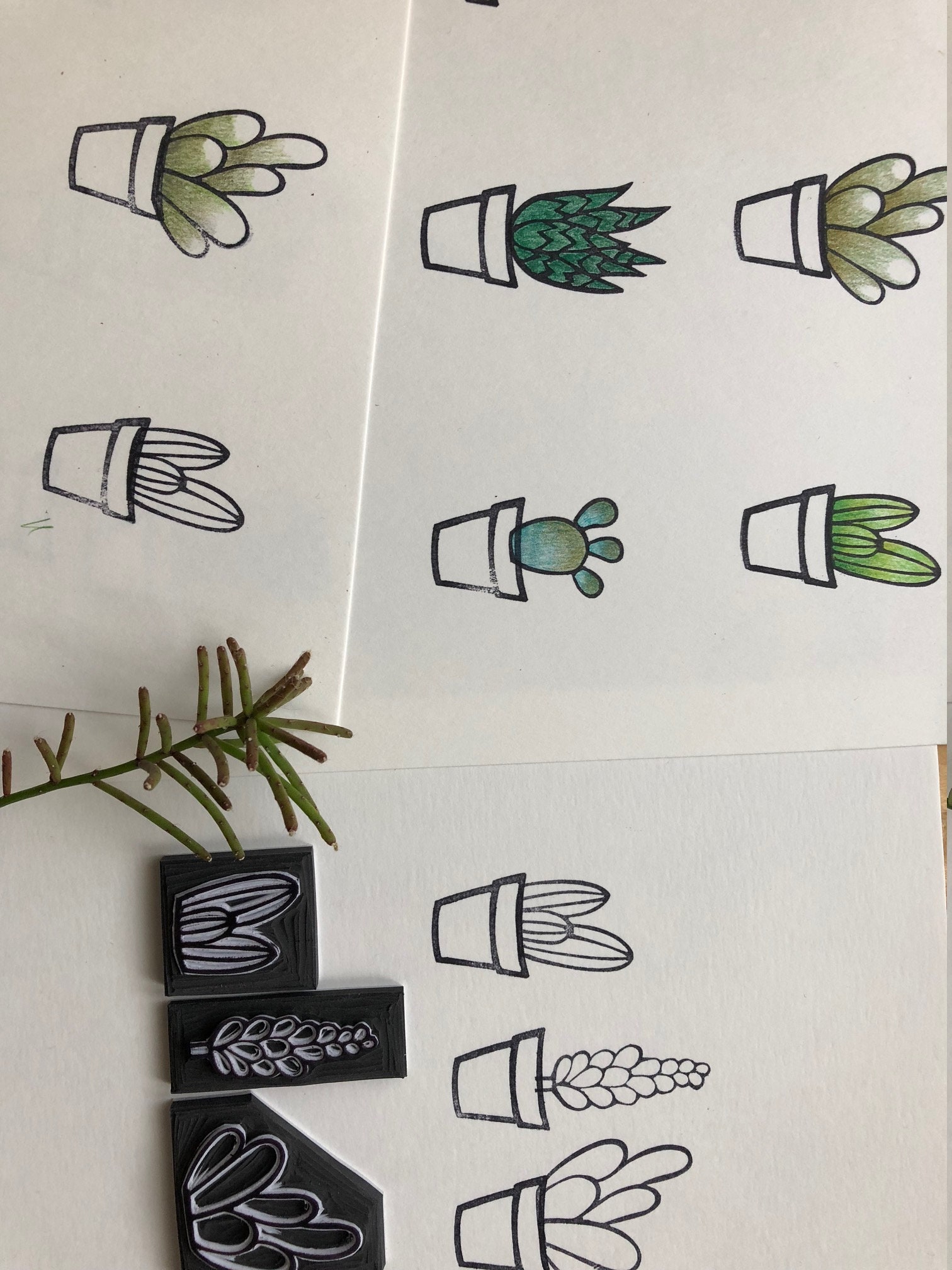 Cactus Cacti Stamp Cactus Rubber Stamp Set of 12 Cactus | Etsy