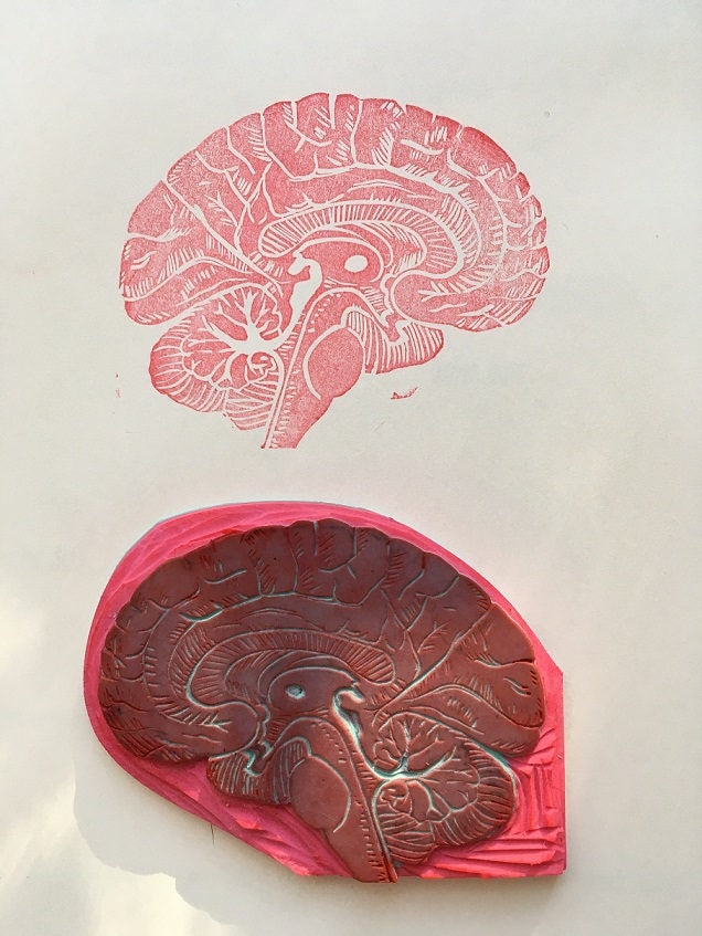 Anatomical Brain Hand Carved Rubber Stamp - Etsy