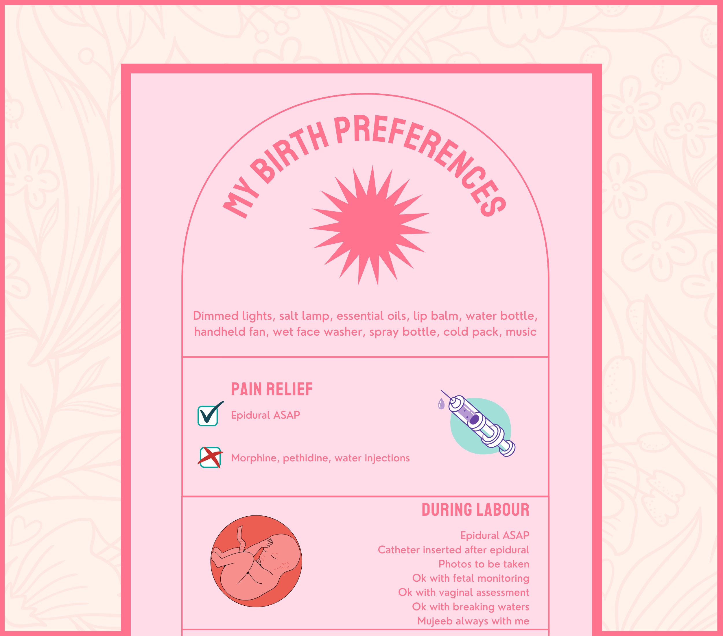 Editable Birth Plan Template Printable Birthing Plan - Etsy Australia