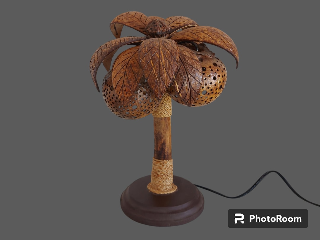 Vintage Coconut Shell Table Lamp Home Decor Unique Novelty - Etsy
