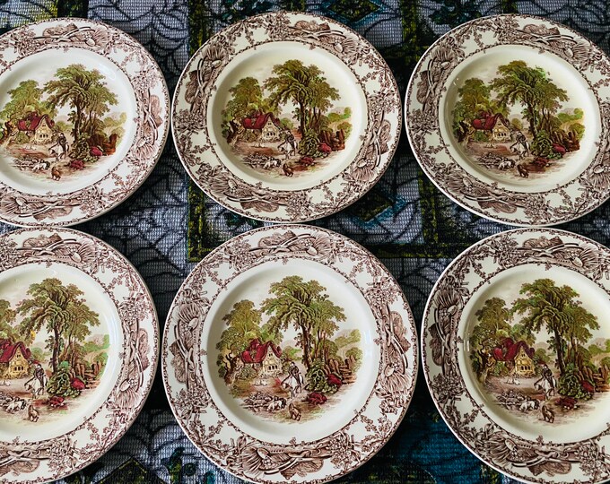 Marvellous Vintage Rural Scenes Royal Staffordshire Dinnerware Clarice ...