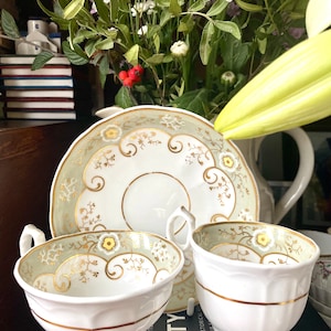 Elegant C1840 Samuel Alcock Trio Set Rococo Revival - Etsy