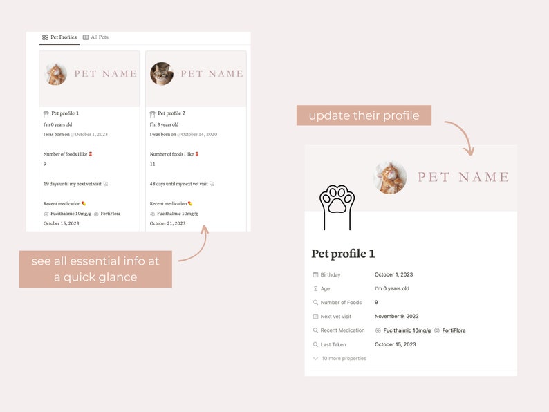 Notion Template Pet Tracker, Pet Dashboard, Medication Log, Pet Food ...