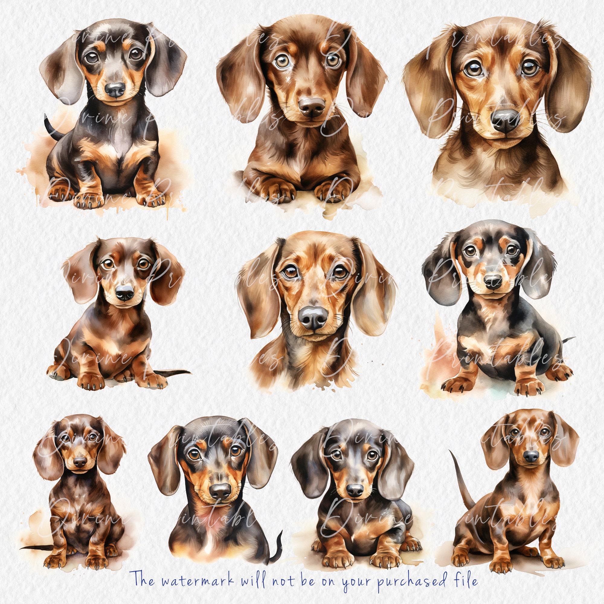 Dachshund Clipart - 32 Digital Graphics for Instant Download - Doxie ...
