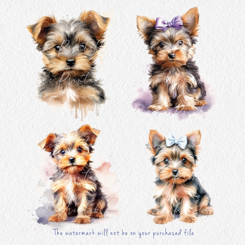 Watercolor Yorkshire Terrier Clipart - 15 Digital Graphics for Instant ...