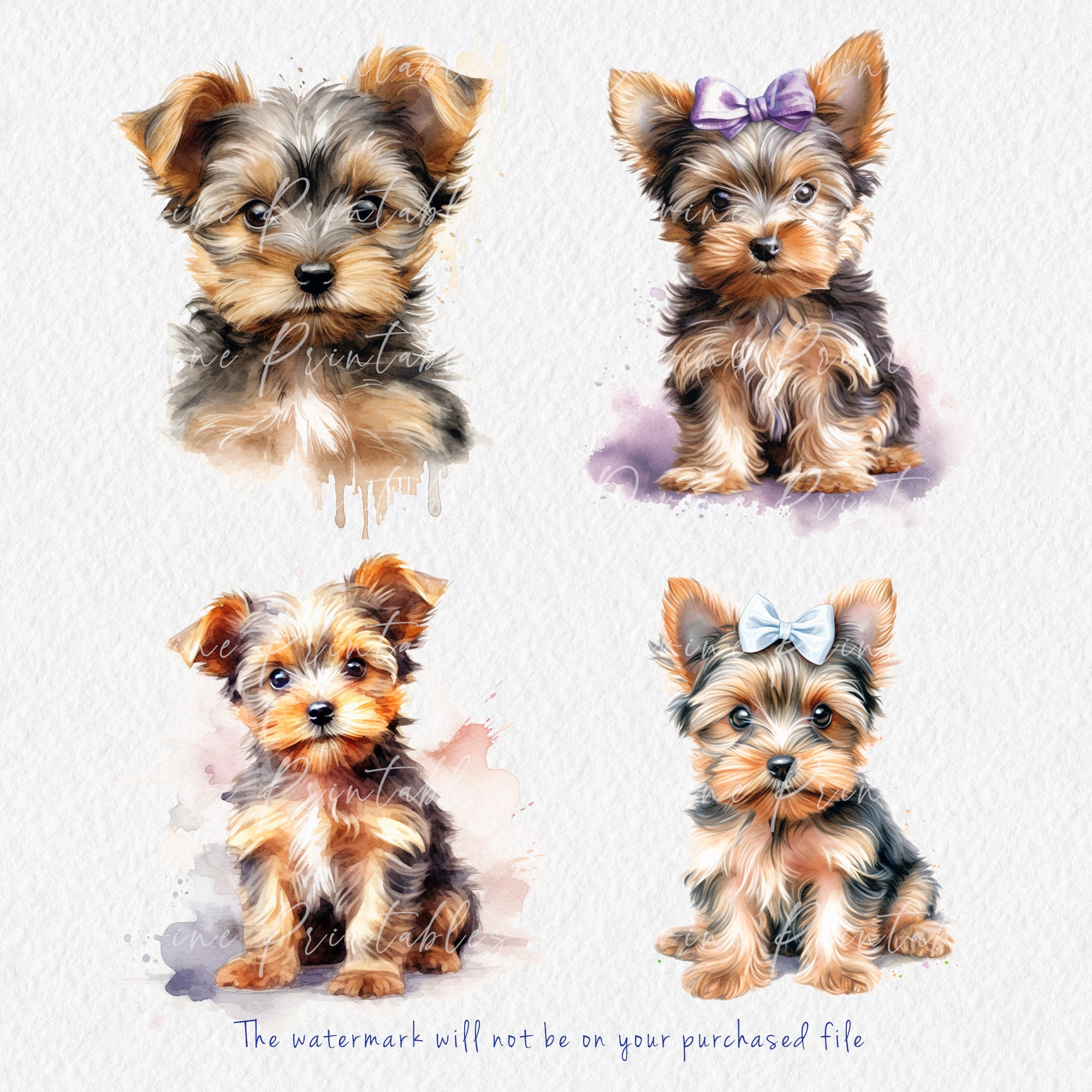 Watercolor Yorkshire Terrier Clipart 15 Digital Graphics for Instant ...