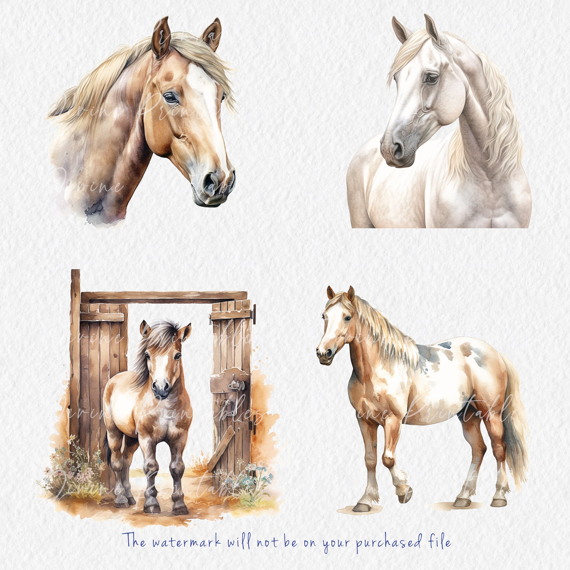 Watercolor Horse Clipart - 12 Digital Graphics for Instant Download ...