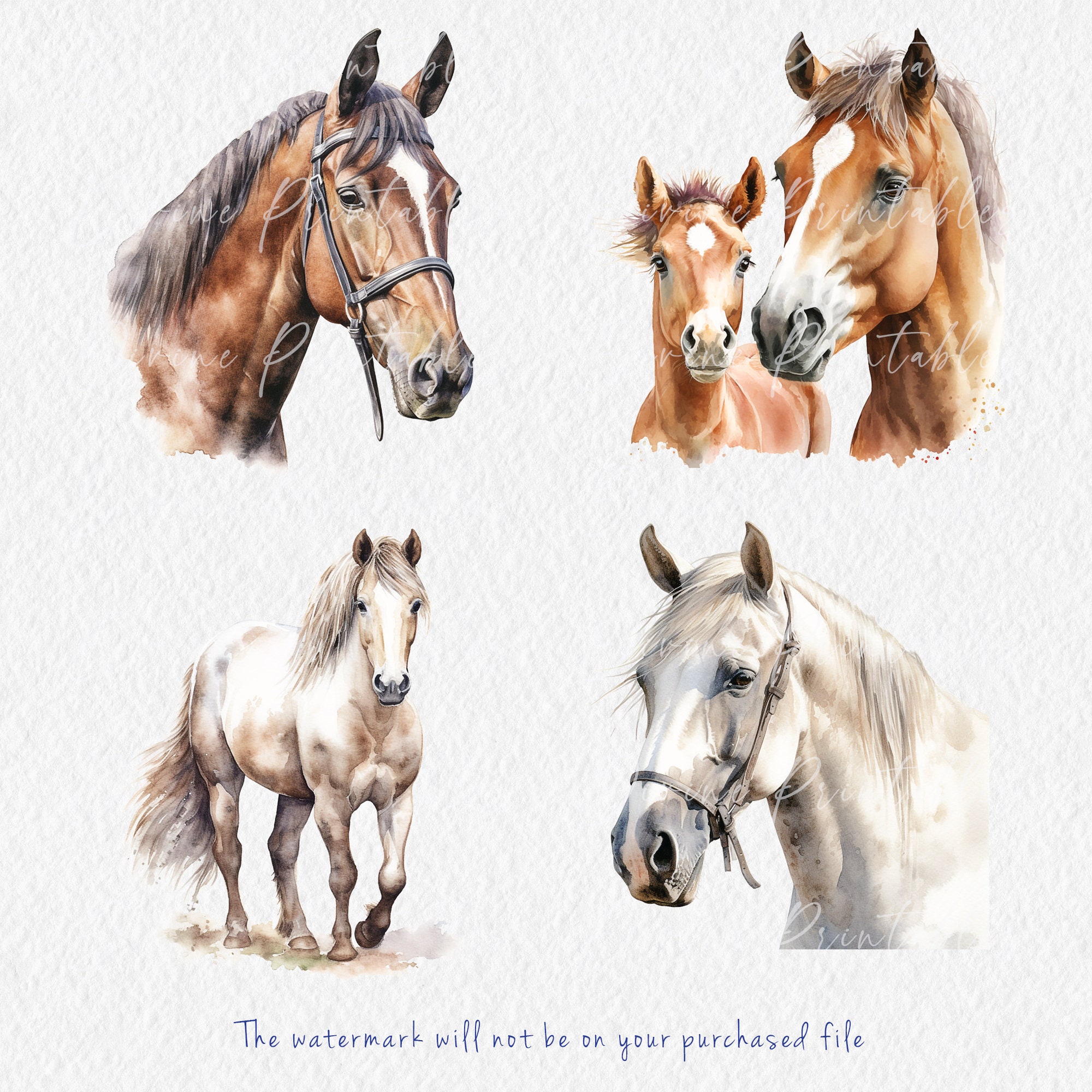 Watercolor Horse Clipart - 12 Digital Graphics for Instant Download ...