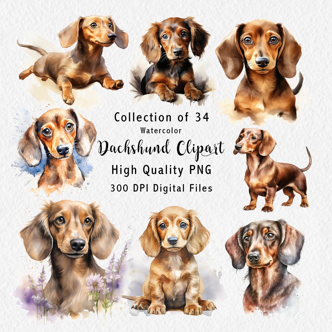 Dachshund Clipart - 34 Digital Graphics for Instant Download - Doxie ...