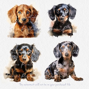 Dachshund Clipart - 32 Digital Graphics for Instant Download - Doxie ...