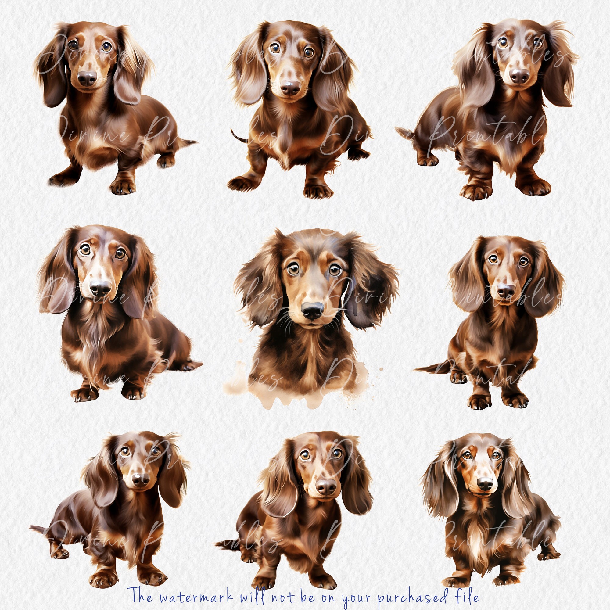 Dachshund Clipart - 21 Digital Graphics for Instant Download - Doxie ...
