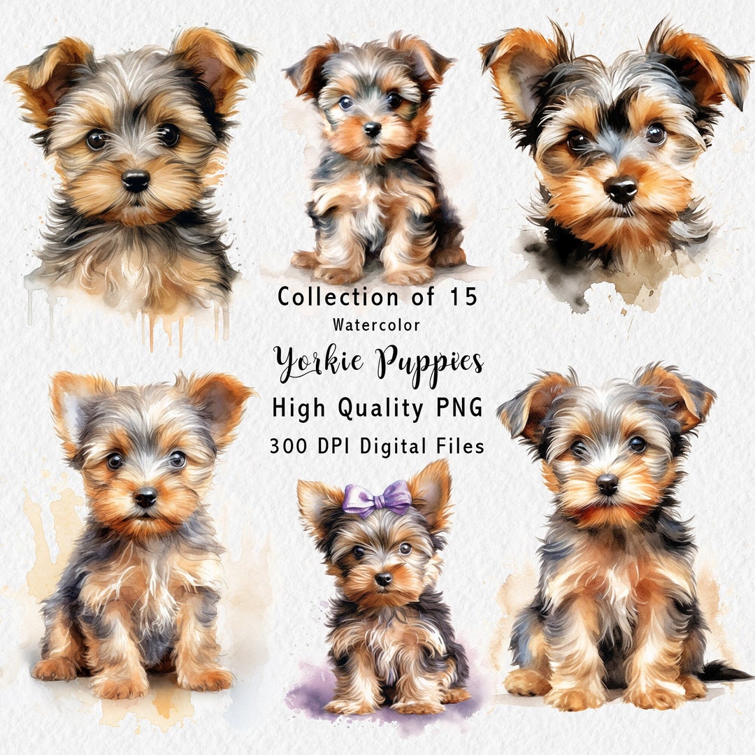 Watercolor Yorkshire Terrier Clipart - 15 Digital Graphics for Instant ...