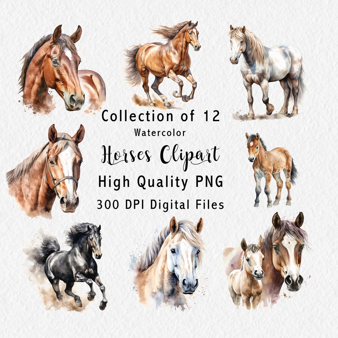 Watercolor Horse Clipart - 12 Digital Graphics for Instant Download ...
