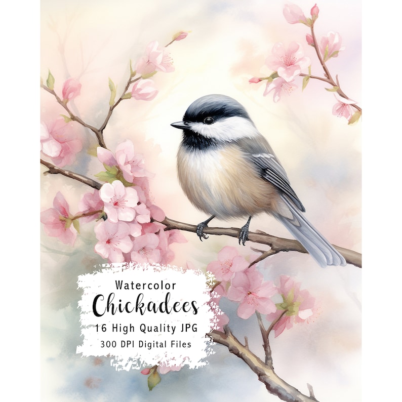 Chickadee Digital Art Watercolor Clipart - 16 Digital Graphics for ...