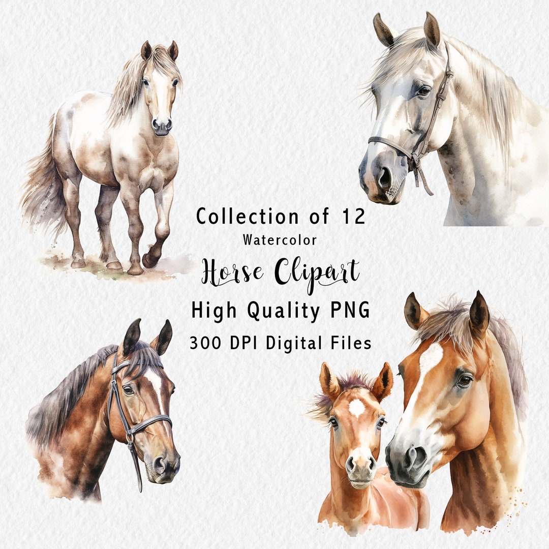 Watercolor Horse Clipart - 12 Digital Graphics for Instant Download ...