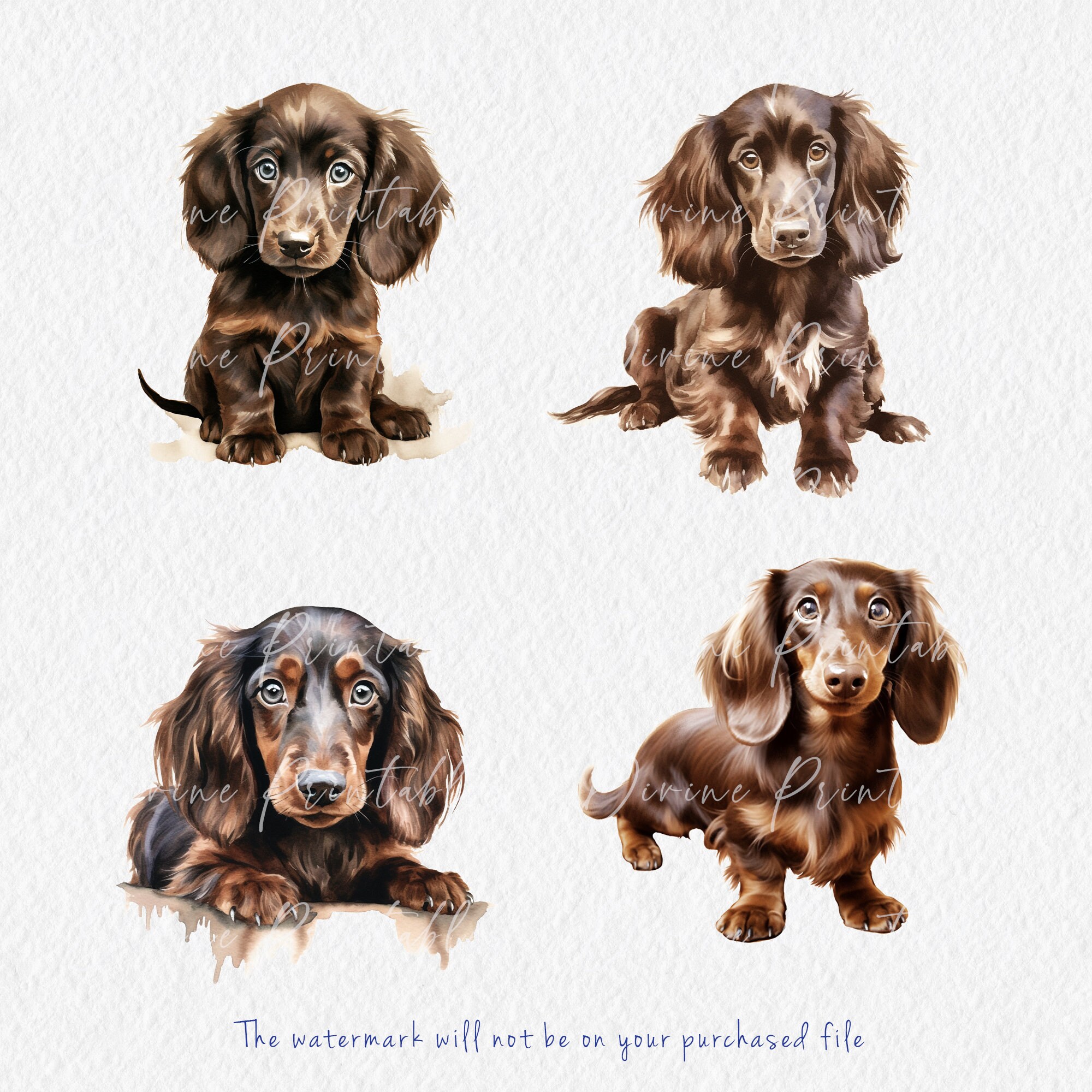 Dachshund Clipart - 21 Digital Graphics for Instant Download - Doxie ...