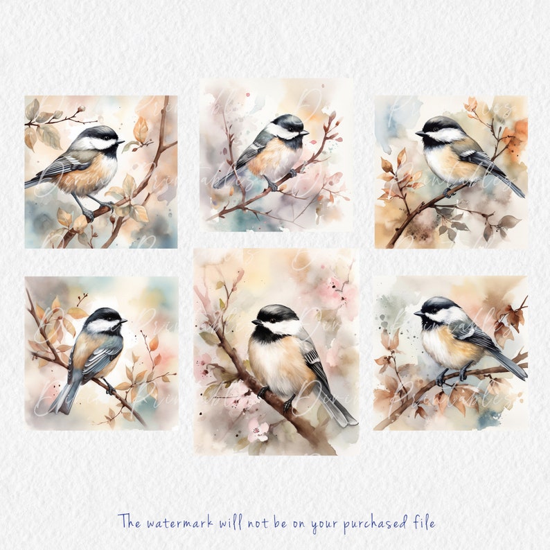 Chickadee Digital Art Watercolor Clipart - 16 Digital Graphics for ...
