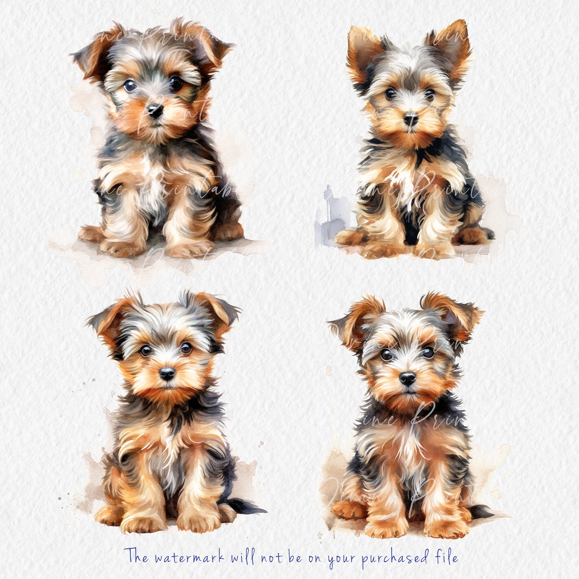 Watercolor Yorkshire Terrier Clipart - 15 Digital Graphics for Instant ...