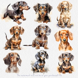 Dachshund Clipart - 32 Digital Graphics for Instant Download - Doxie ...