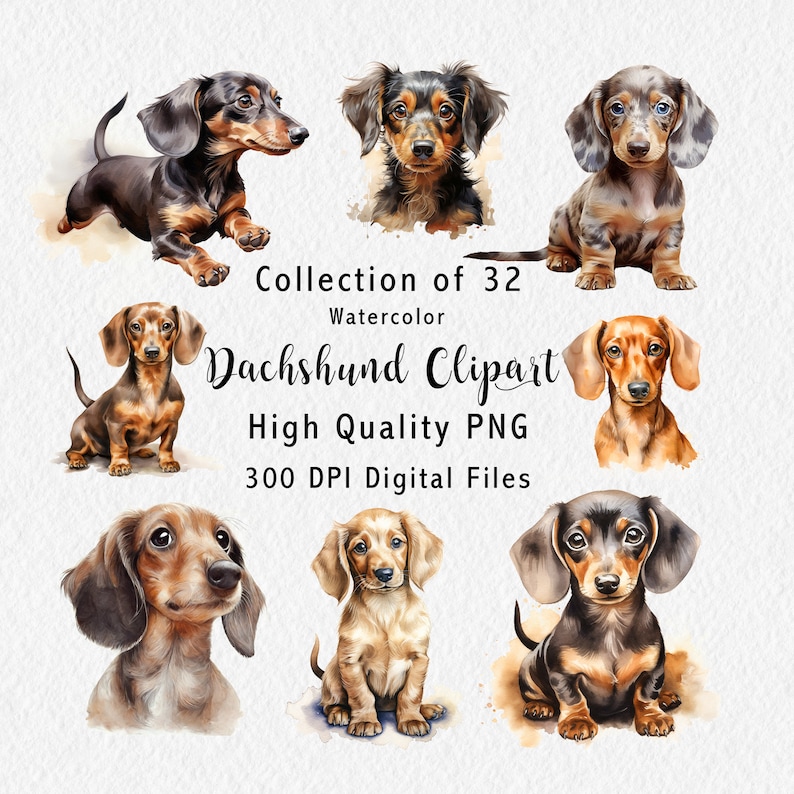 Dachshund Clipart - 32 Digital Graphics for Instant Download - Doxie ...