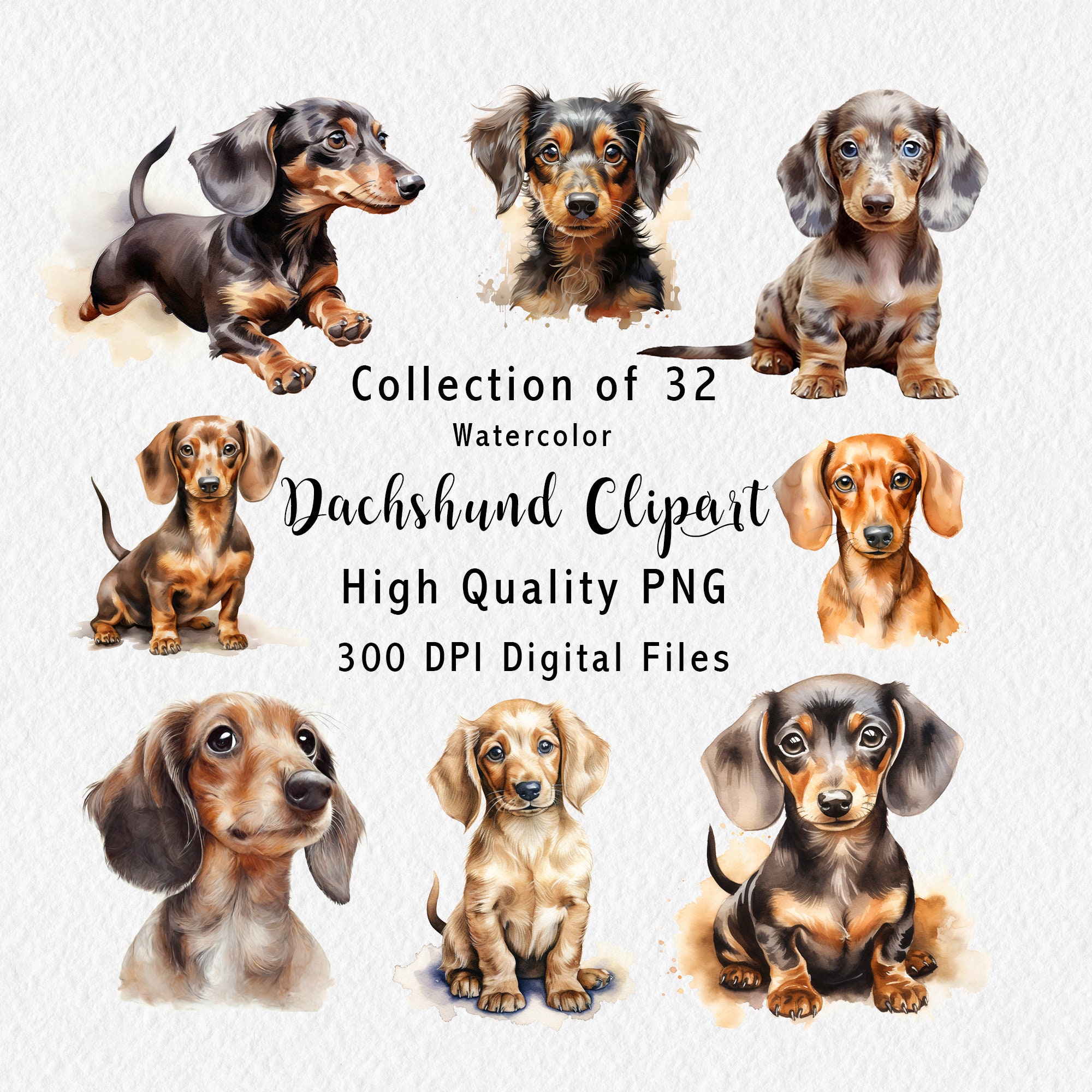 Dachshund Clipart - 32 Digital Graphics for Instant Download - Doxie ...
