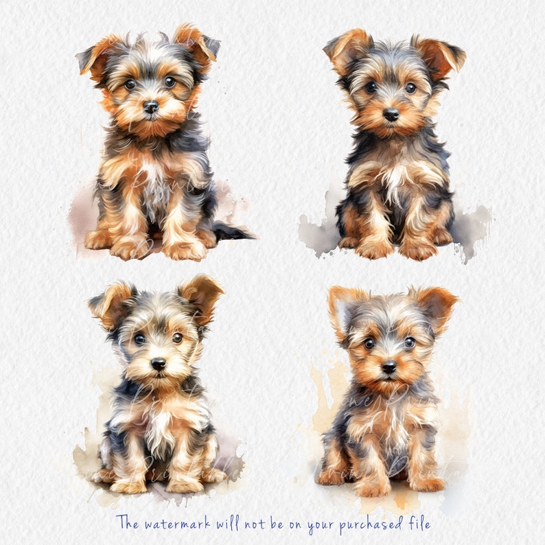 Watercolor Yorkshire Terrier Clipart - 15 Digital Graphics for Instant ...