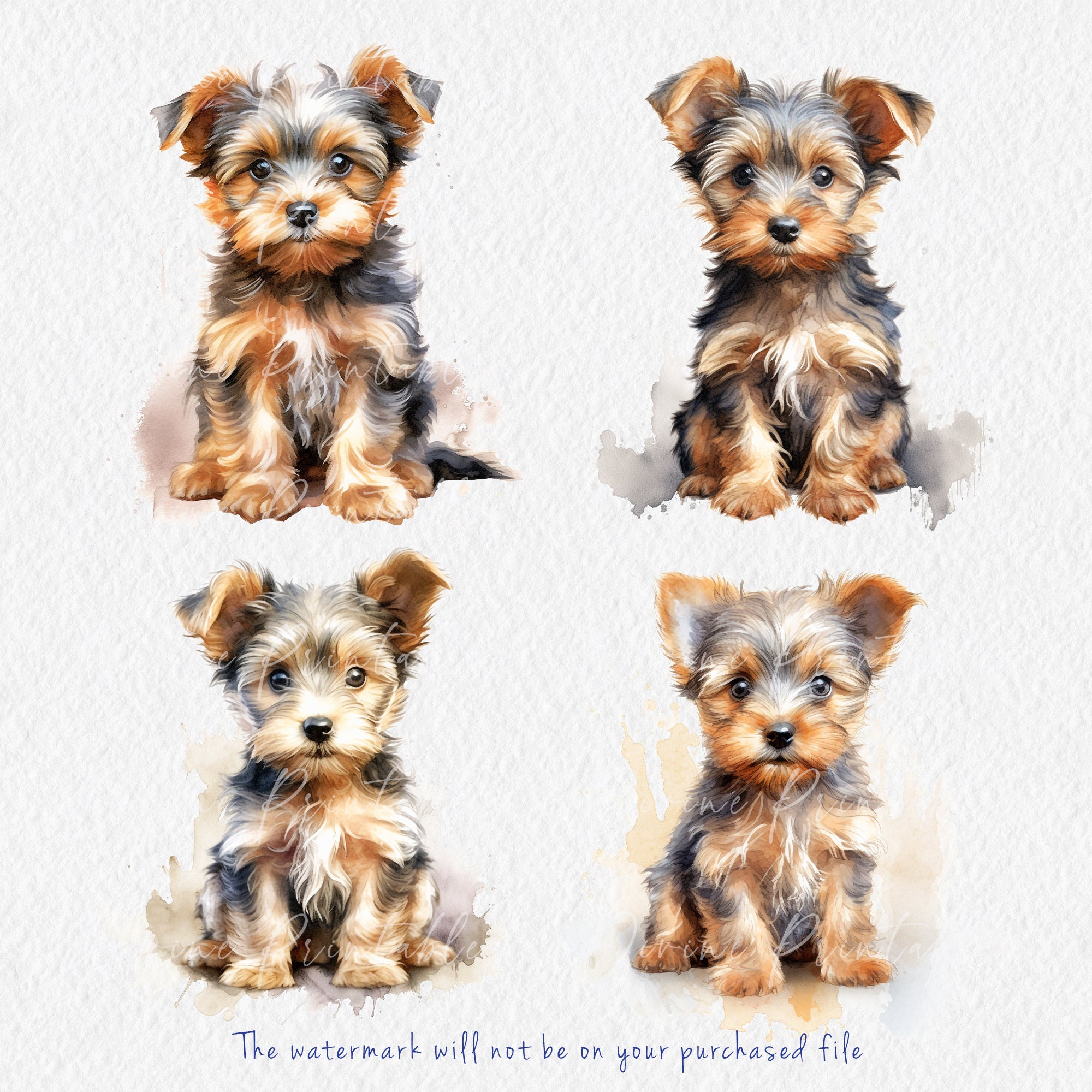 Watercolor Yorkshire Terrier Clipart - 15 Digital Graphics for Instant ...