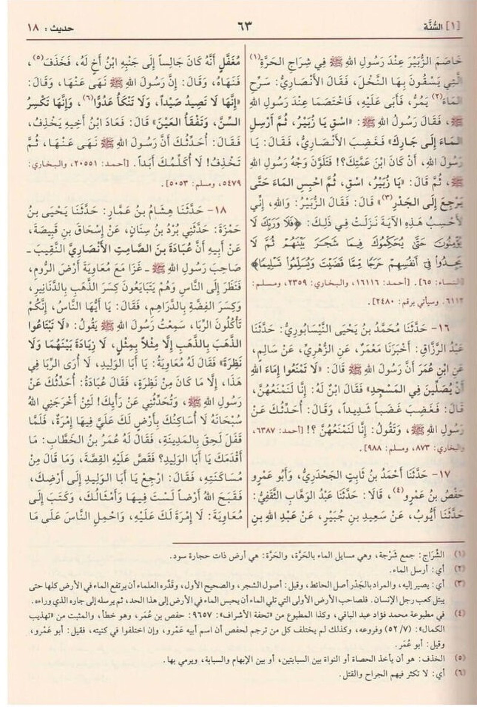 Arabic Islamic Hadith Book Sunan Ibn Majah كتاب سنن ابن ماجه تصنيف ...