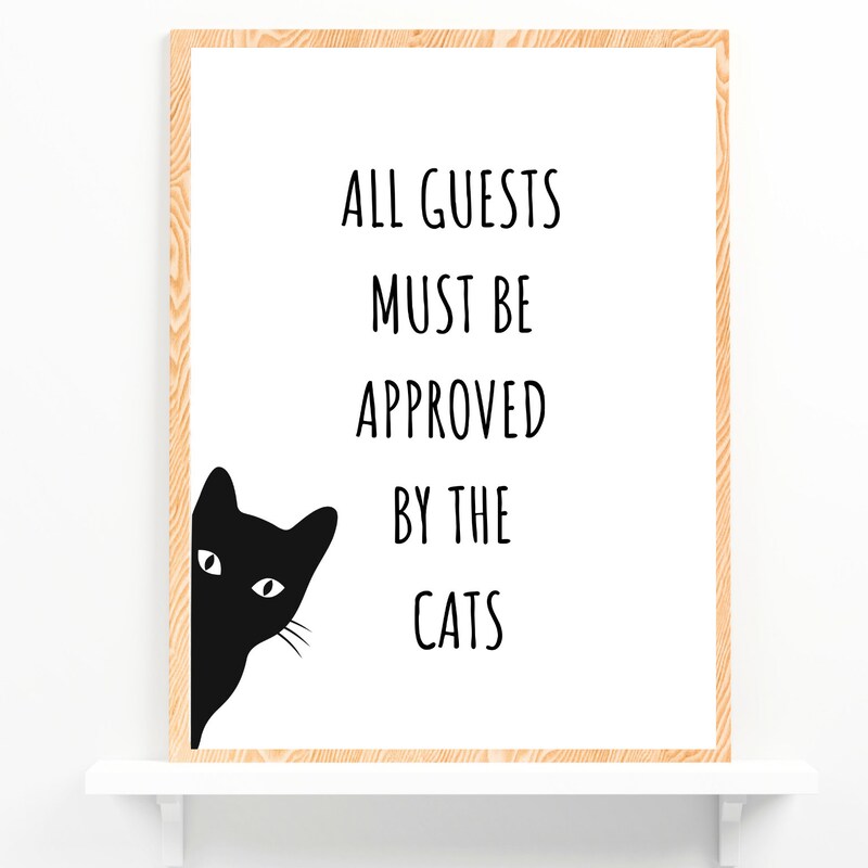 Funny Cat Signs - Etsy