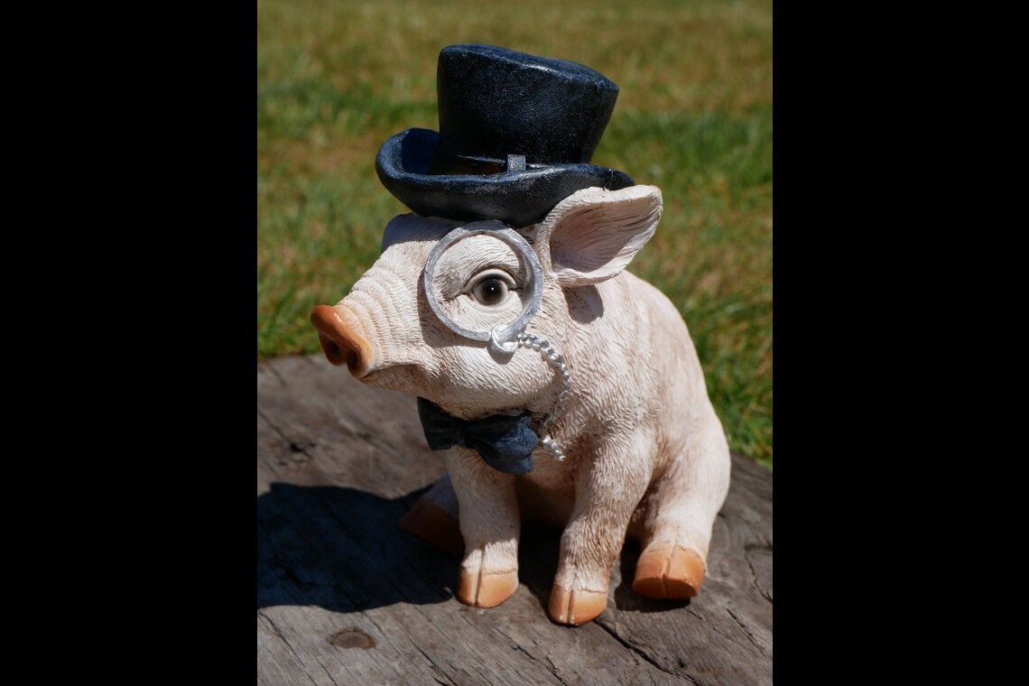 Garden Gnome Pigs Pig With Monocle Pig With Spade Pig With | Etsy